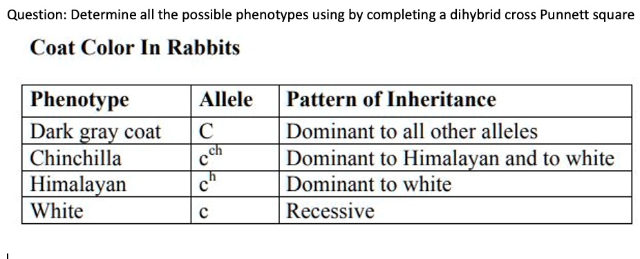SOLVED:Question: Determine all the possible phenotypes using by ...