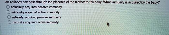 SOLVED: An antibody can pass through the placenta of the mother to the ...