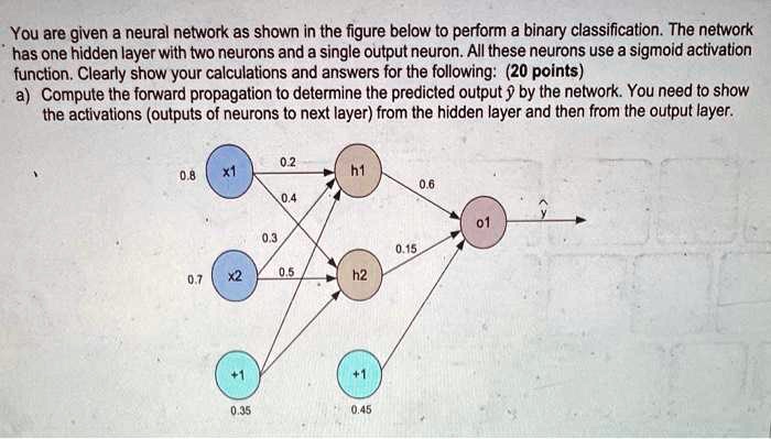 You are given a neural network as shown in the figure below to perform ...