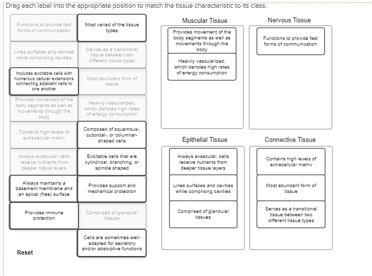 SOLVED: Drag each label into the appropriate position to match the ... SOLVED: Drag each label into the appropriate position to match the ...