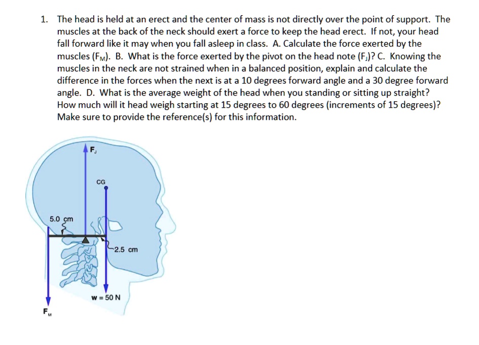 SOLVED: The head is held erect and the center of mass is not directly ...