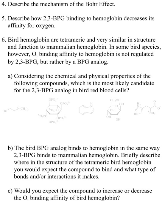 SOLVED: 4. Describe the mechanism of the Bohr Effect: 5 . Describe how 2,3-BPG binding to ...