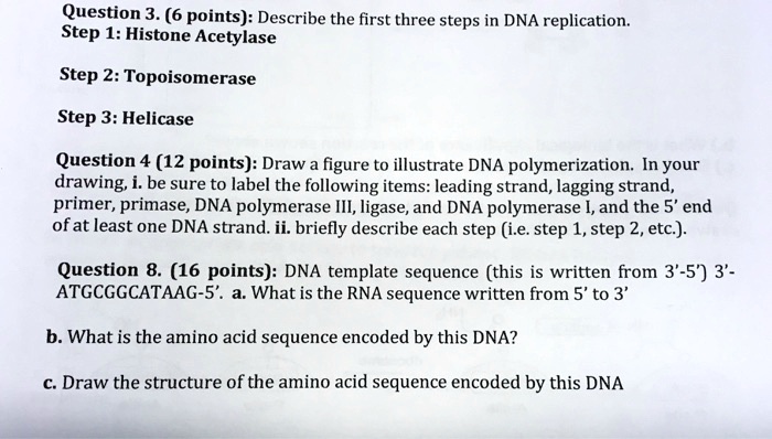 SOLVED: Question 3. (6 points): Describe the first three steps in DNA ...