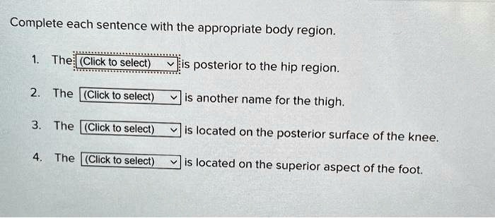 Complete each sentence with the appropriate body region. 1. The (Click ...