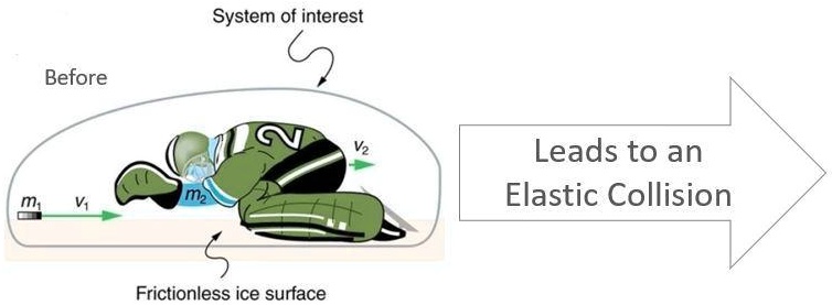 SOLVED: As shown above, a 0.140-kg ice hockey puck (m1) has a velocity ...
