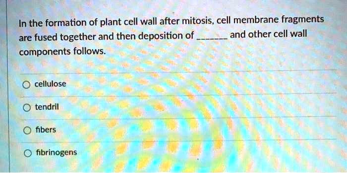 in the formation of plant cell wall after mitosis cell membrane ...