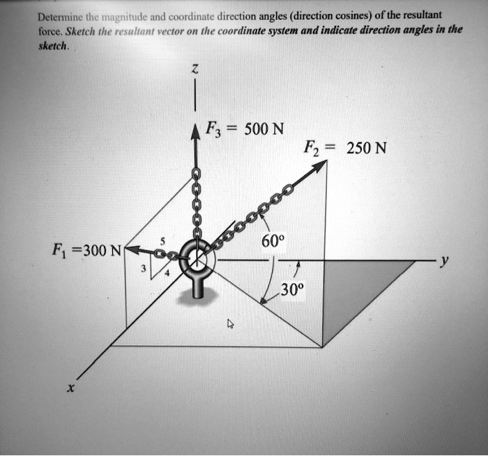 Solved Determine The Magnitude And Coordinate Direction Angles