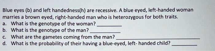 SOLVED: Blue eyes (b) and left handedness(h) are recessive A blue eyed ...