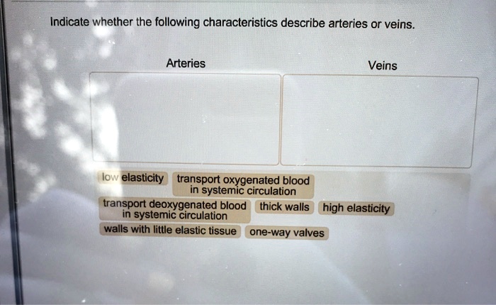 SOLVED: Indicate whether the following characteristics describe arteries or veins. Arteries ...