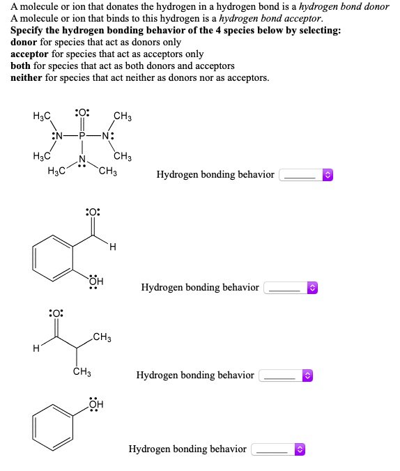 SOLVED: A molecule or ion that donates the hydrogen in hydrogen bond is ...