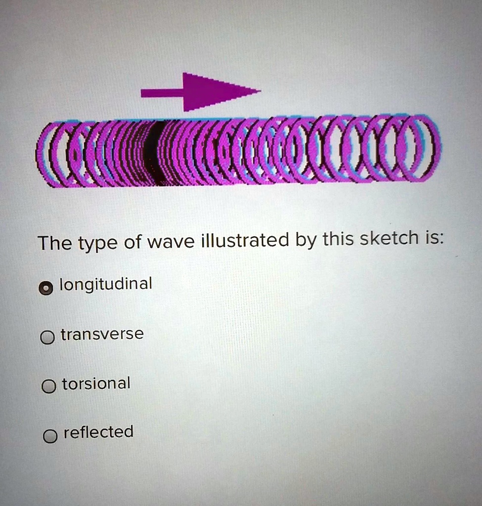 The type of wave illustrated by this sketch is: • longitudinal ...