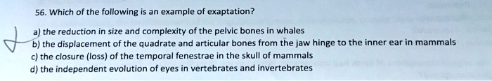 SOLVED: 56. Which of the following an example of exaptation? the ...
