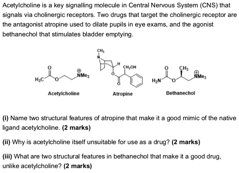 SOLVED: Acetylcholine is a key signaling molecule in the Central ...