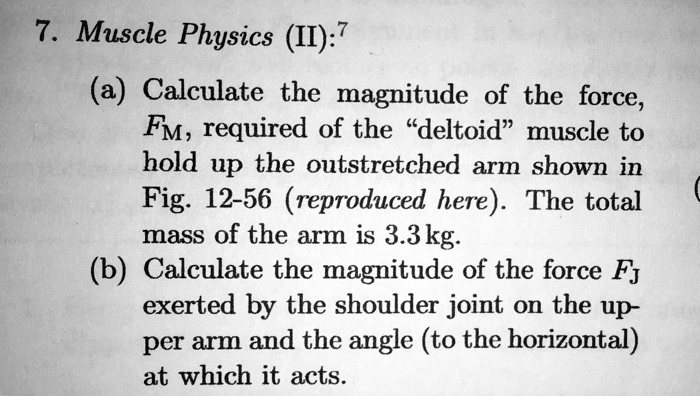7. Muscle Physics (II):7 (a) Calculate the magnitude of the force, FM ...