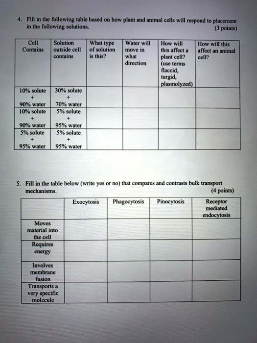 fill in the following iable based on how plant and animal cells will ...