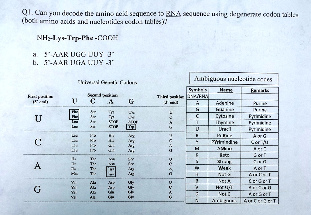 SOLVED: Q1. Can you decode the amino acid sequence to RNA sequence using degenerate codon tables ...