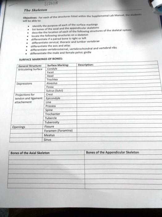 3/22/18 The Skeleton Objectives: For each of the structures listed ...