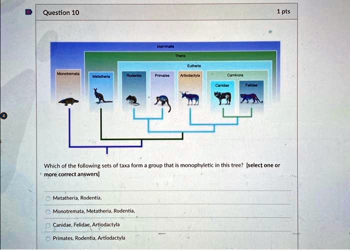 Which of the following sets of taxa form a group that is monophyletic ...