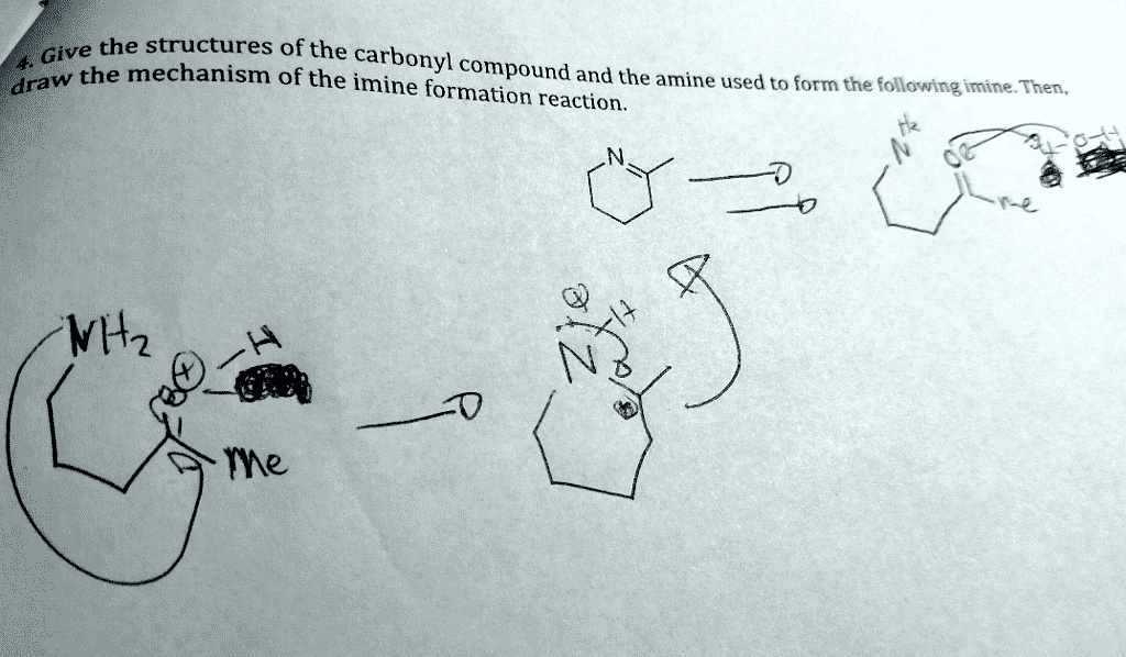' Give the structures of the carbonyl compound and the amine used to ...