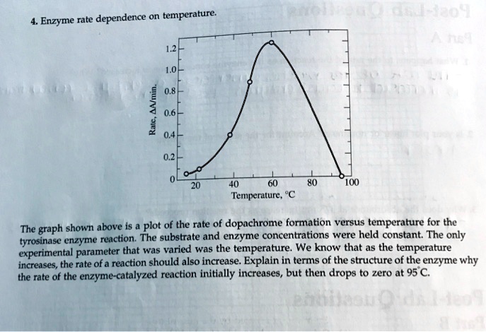 SOLVED: dependence temperature: Enzyme rate [ "` 1 1 Temperature , 'C ...