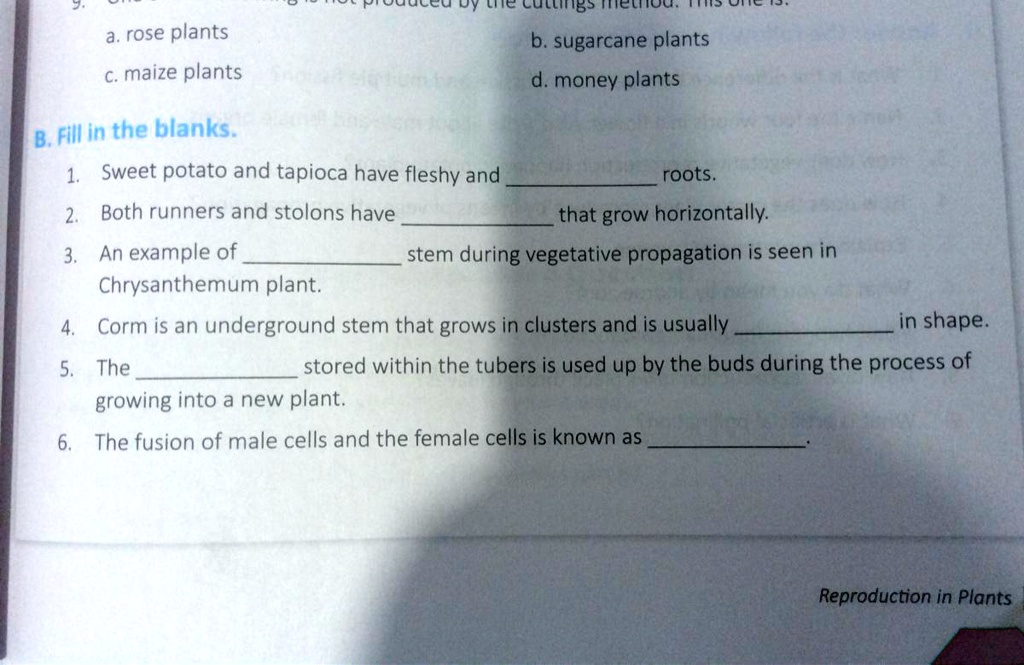 SOLVED: Can anyone please tell me the answer of the FILL IN THE BLANKS ...