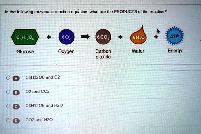 SOLVED:In the following enzymatic reaction equation _ what are the ...