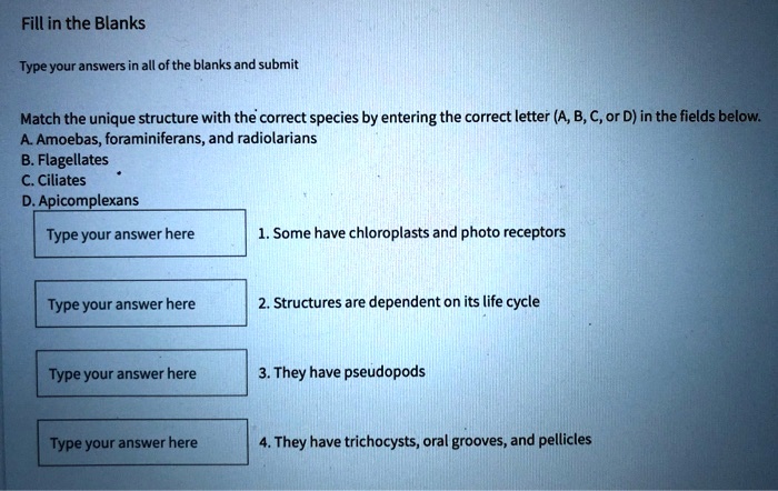 SOLVED: Texts: Fill in the Blanks Type your answers in all of the blanks and submit Match the ...