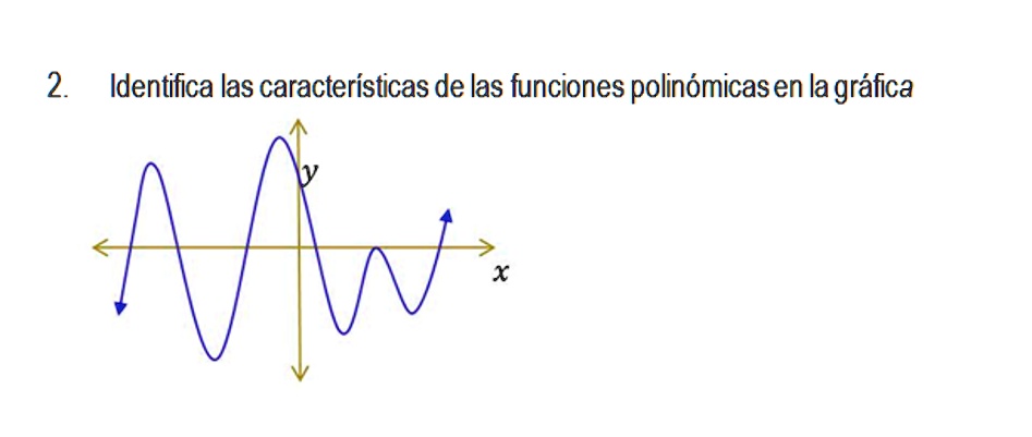 SOLVED: Identify the characteristics of polynomial functions on the graph.