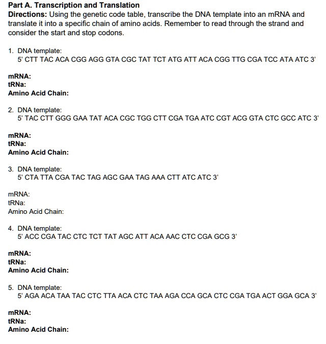 Part A. Transcription and Translation Directions: Using the genetic ...