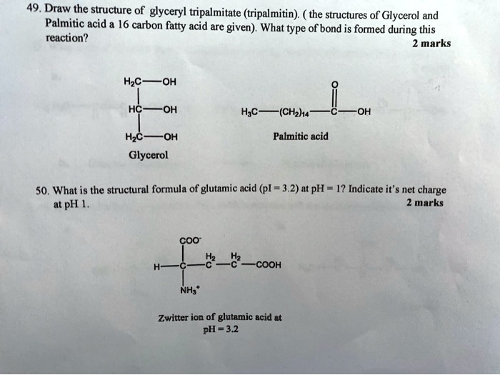 SOLVED: 49 Draw the structure of glyceryl tripalmitate (tripalmitin ...