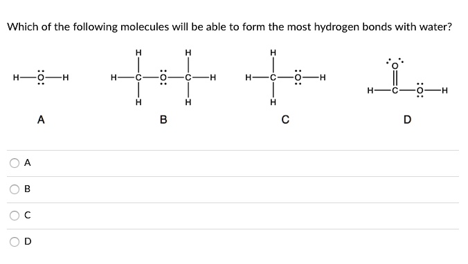 SOLVED: Which of the following molecules will be able to form the most ...