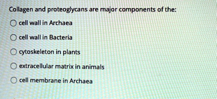 SOLVED: Collagen and proteoglycans are major components of the: cell ...