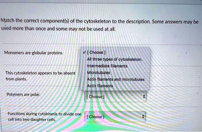 Match the correct component(s) of the cytoskeleton to the description. Some answers may be used ...