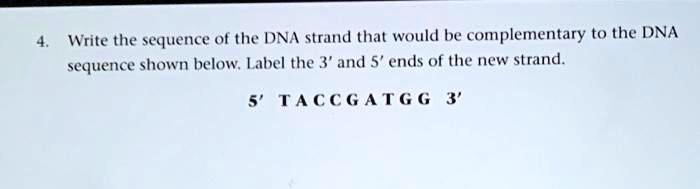 4. Write the sequence of the DNA strand that would be complementary to the DNA sequence shown ...