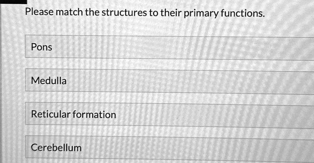 SOLVED: Please match the structures to their primary functions. Pons ...