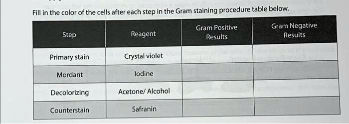 Fill in the color of the cells after each step in the Gram staining ...