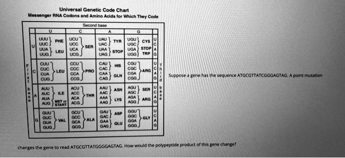 universal genetic code chart mastenger ana codons and amino acids which ...