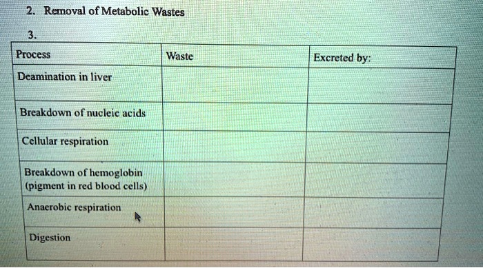 SOLVED: Removal of Metabolic Wastes Process Waste Excreted by ...