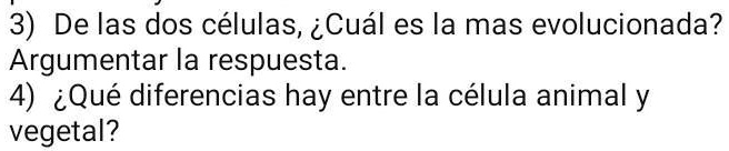 SOLVED: ayuda es para porfavor 3) De las dos células, iCuál es la mas ... SOLVED: ayuda es para porfavor 3) De las dos células, iCuál es la mas ...