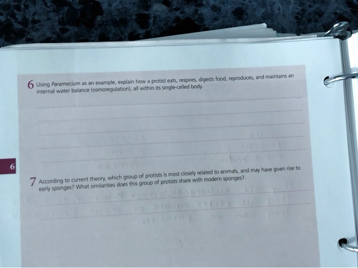 SOLVED: Reproduces and maintains an example explaining how a protist ...