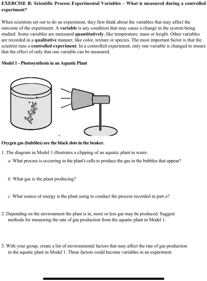 EXERCISE B: Scientific Process Experimental Variables - What is ...
