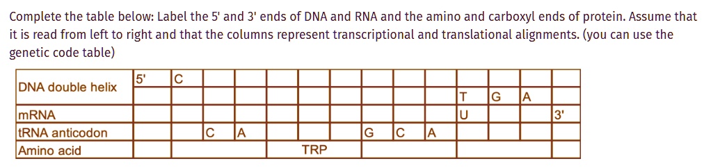 SOLVED: Complete the table below: Label the 5' and 3' ends of DNA and ...