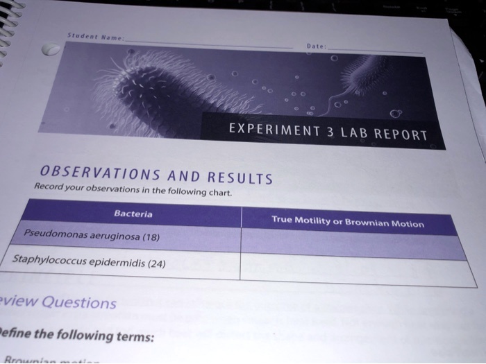 experiment 3 lab report observations and results record your ...