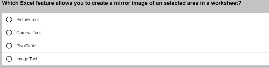Which Excel feature allows you to create a mirror image of...
