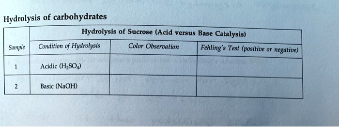 SOLVED: Hydrolysis of Carbohydrates: Hydrolysis of Sucrose (Acid versus ...