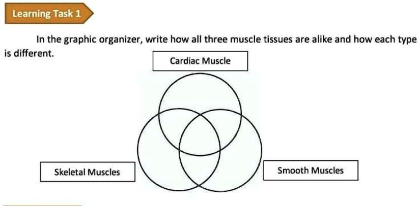 Learning Task 1 In the graphic organizer, write how all three muscle ...