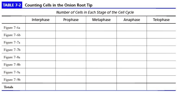 VIDEO solution: TABLE 7-2: Counting Cells in the Onion Root Tip: Number ...