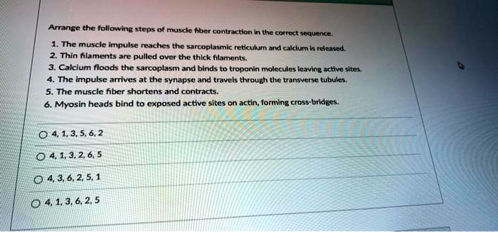 SOLVED: Arrange the following steps of muscle fiber contraction in the correct sequence. 1.The ...