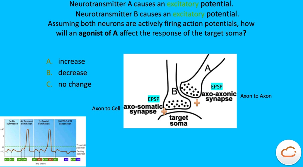 Neurotransmitter A causes an excitatory potential. Neurotransmitter B causes an excitatory ...