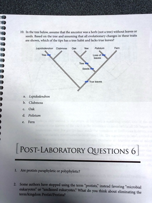 SOLVED: 10. In the tree below, assume that the ancestor (root) of Tree ...